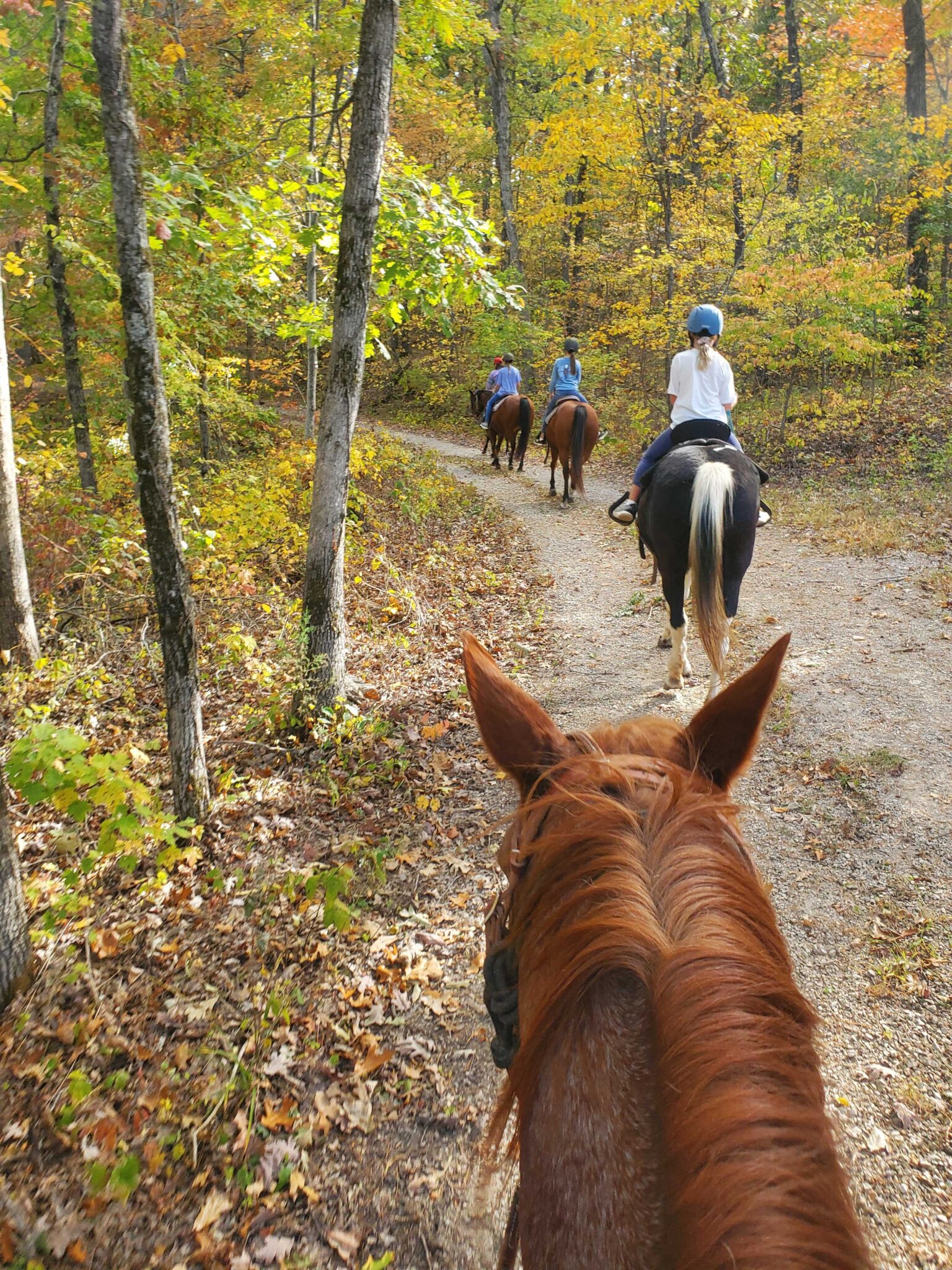 Horseback Riding – Spring Lake Ranch